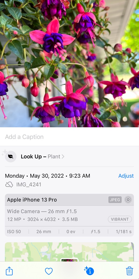 Wyszukiwanie wizualne w iPhone – visual lookup